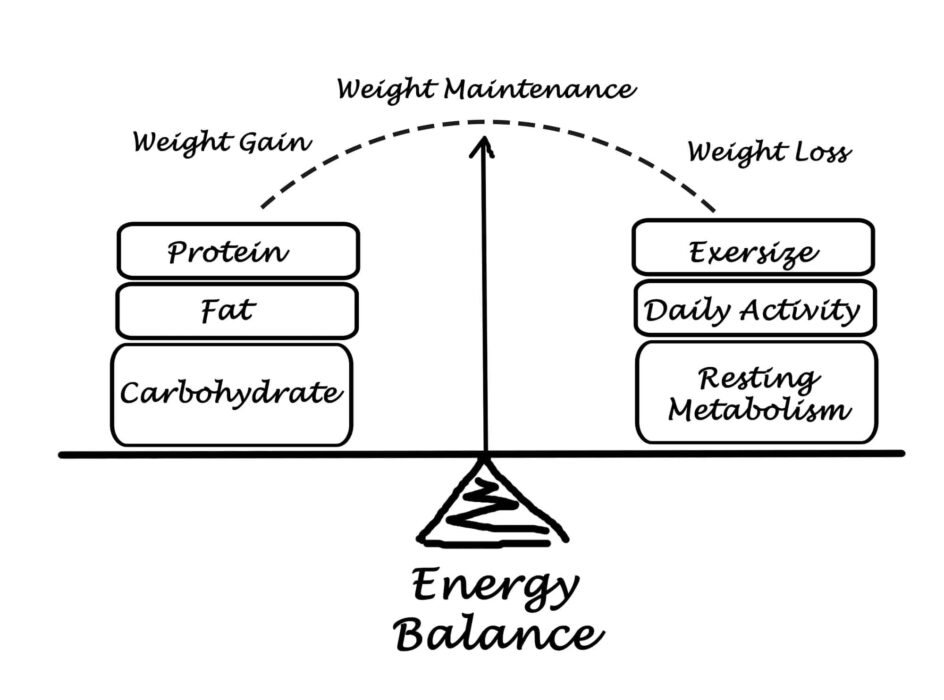 How To Use Total Daily Expenditure Calculator For Weight Loss Be In Shape