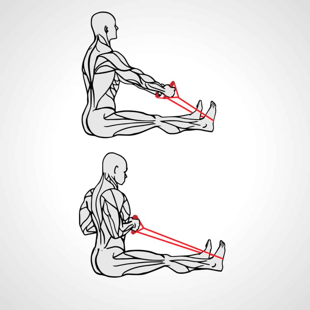 11 Seated Cable Row Alternatives (Home and Gym Versions) - Be in shape