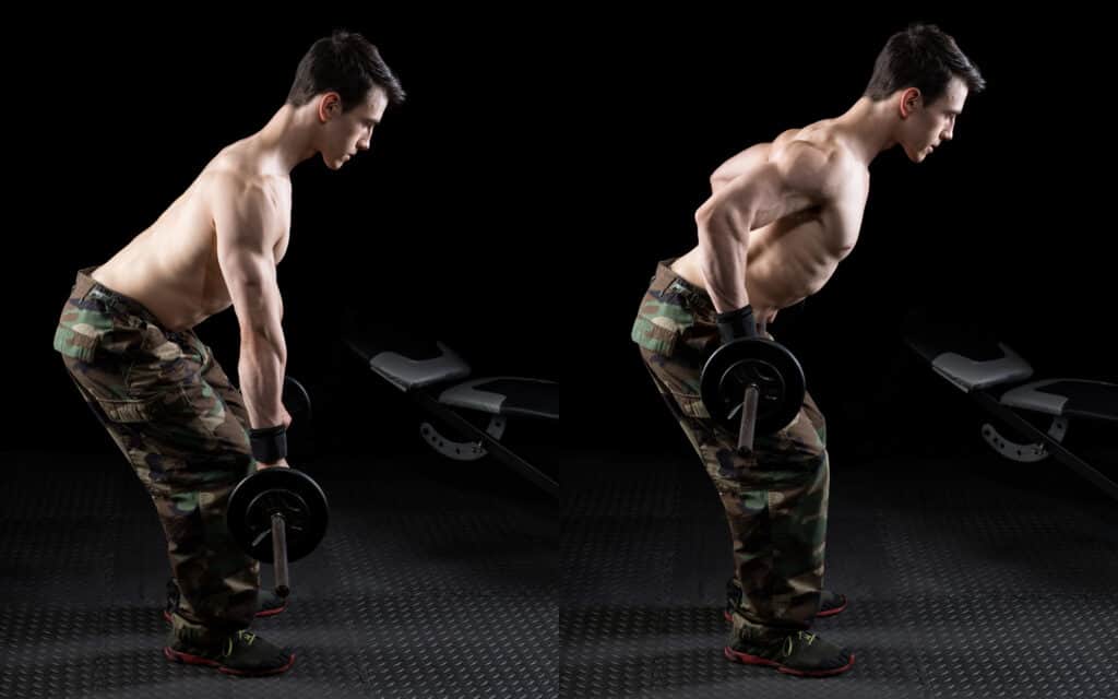 11 Best Dumbbell Exercises for Lats: All Levels - Be in shape